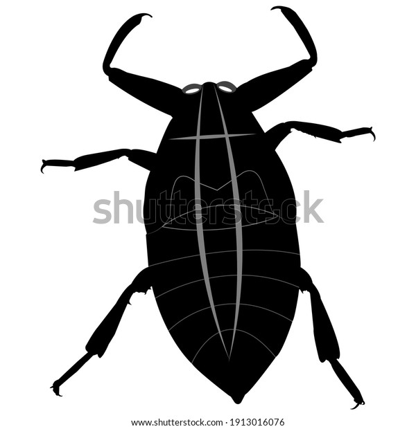 Pimp Insect Isolated On White Background Stock Vector (Royalty Free ...