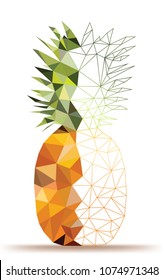 803 Polygon pineapple Images, Stock Photos & Vectors | Shutterstock
