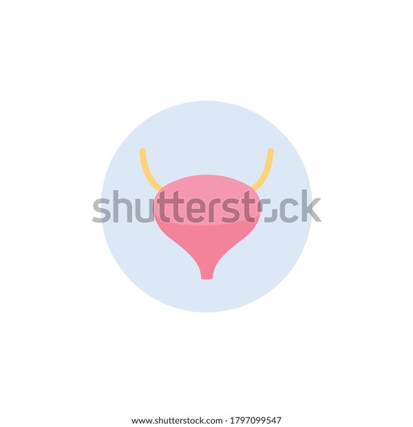 Pink Bladder Icon Isolated On White Stock Vector (Royalty Free) 1797099547