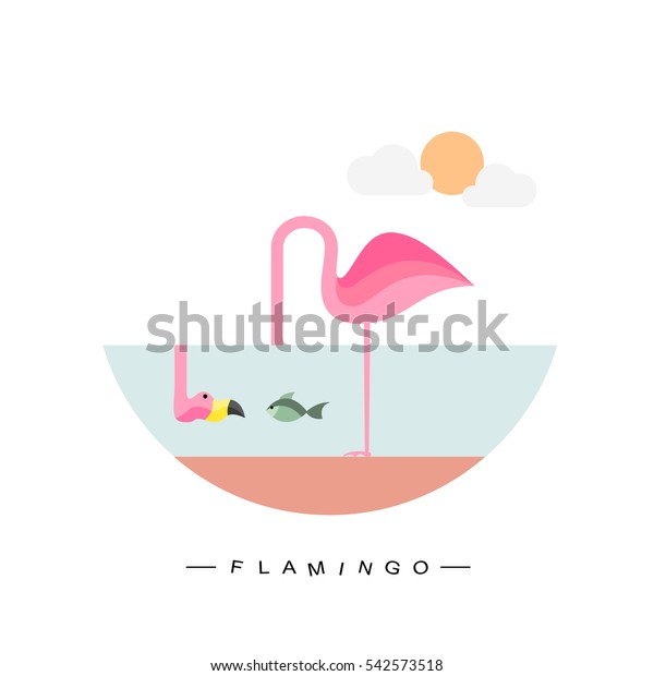 Pink Flamingo Try Eat Fish Under Stock Vector (Royalty Free) 542573518