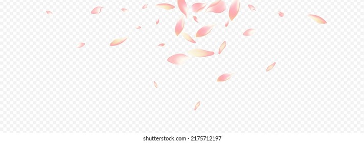 Pink Floral Vector Panoramic Transparent Background Stock Vector ...