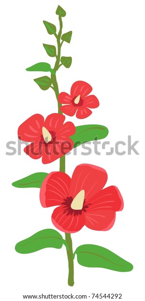 Pink Mallow Vector Stock Vector (Royalty Free) 74544292 | Shutterstock