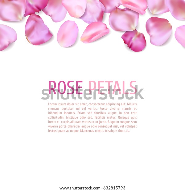 Pink Rose Petals Border Isolated On Stock Vector (Royalty Free) 632815793