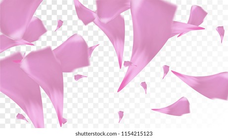 Pink Rose Petals Falling Down Isolated Stock Vector (Royalty Free ...