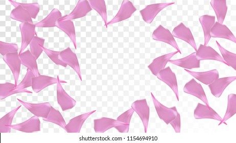 Pink Rose Petals Falling Down Isolated Stock Vector (Royalty Free ...