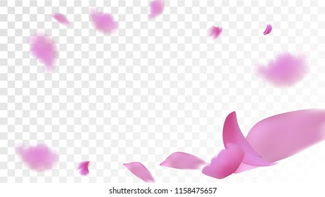 Pink Rose Petals Falling Down Isolated Stock Vector (Royalty Free ...