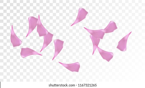 Pink Rose Petals Falling Down Isolated Stock Vector (Royalty Free ...