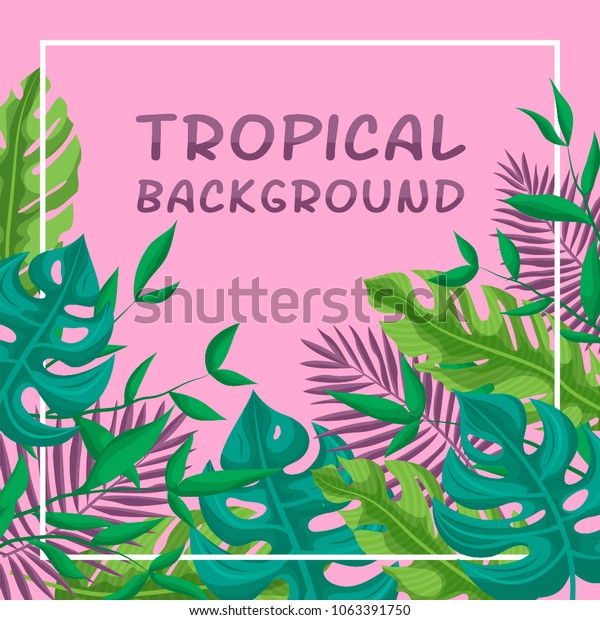 Pink Tropical Background S Vector Your Stock Vector (Royalty Free ...