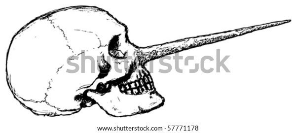 Pinocchio Skull Stock Vector (Royalty Free) 57771178 | Shutterstock