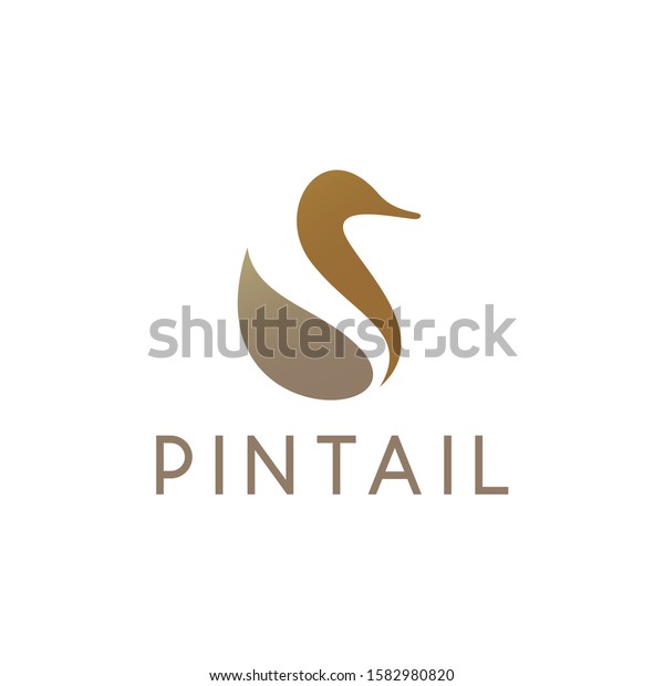 Pintail Company Logo Template Stock Vector (Royalty Free) 1582980820 ...