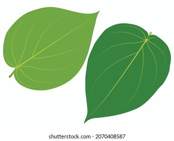 1,160 Piper vector Images, Stock Photos & Vectors | Shutterstock
