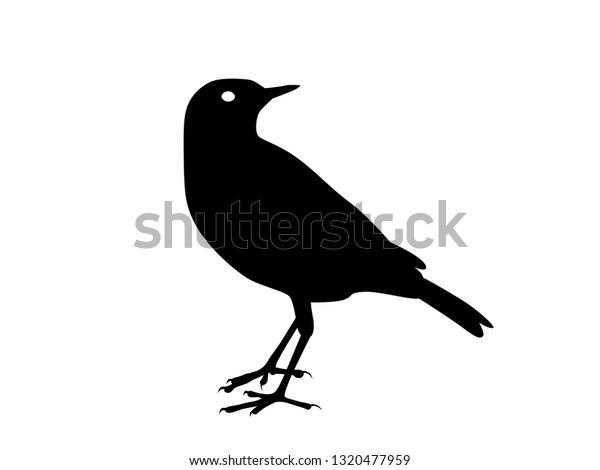 Pipit Bird Vector Silhouette Isolated On Stock Vector (Royalty Free ...