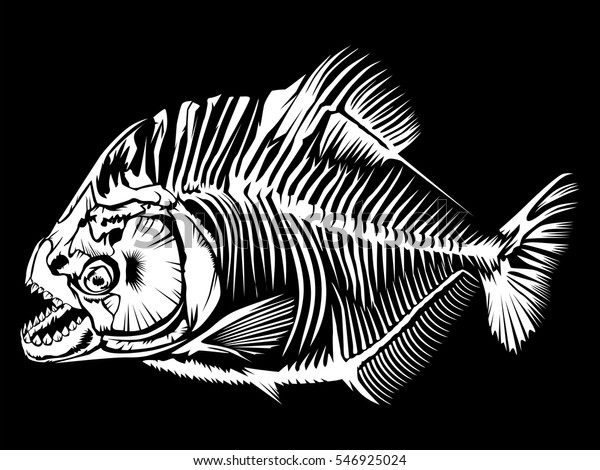 Piranha Fish Vector Illustration Isolated On Stock Vector (Royalty Free ...