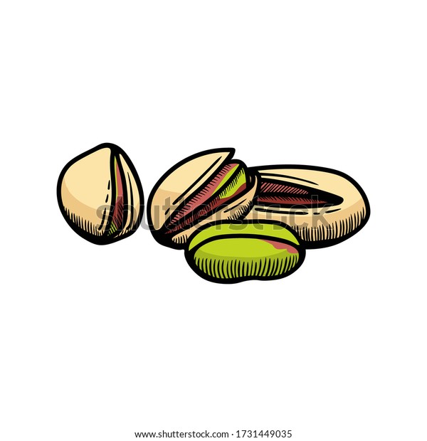 Pistachio Illustration Engraving Doodle Pistachio Shell Stock Vector ...