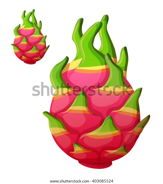 Pitaya Dragon Fruit Fruit Cartoon Vector Stock Vector (Royalty Free ...