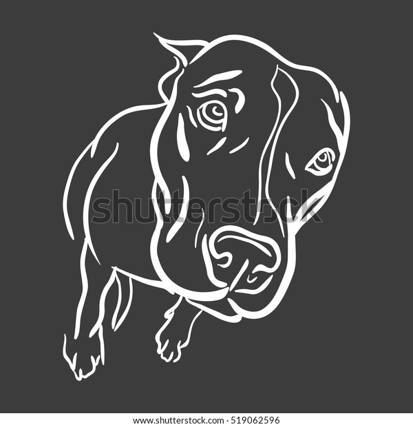 Pitbull Logo Symbol Simple Illustration Sport Stock Vector (Royalty ...