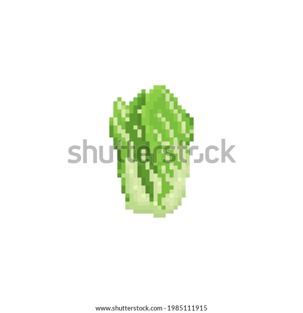 Pixel Art Chinese Cabbage Icon Vector Stock Vector (Royalty Free ...