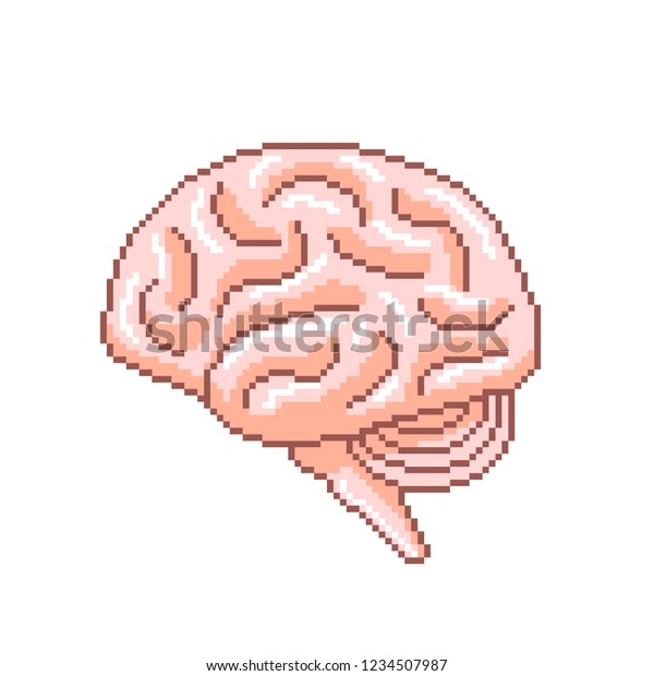 Pixel Art Human Brain Profile Detailed Stock Vector (Royalty Free ...