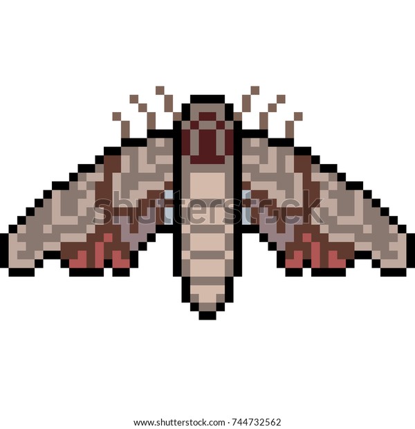 pixel art insect moth isolated