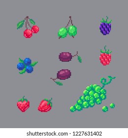261 Pixel blueberry Images, Stock Photos & Vectors | Shutterstock