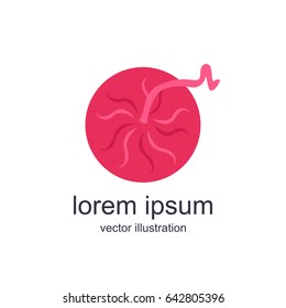 Placenta Vector Icon Stock Vector (Royalty Free) 780067447