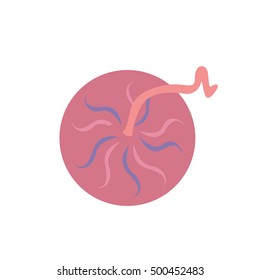 Placenta Icon Vector Illustration Stock Vector (Royalty Free) 500452483 ...
