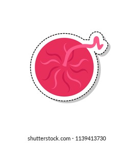 Placenta Sticker Icon: เวกเตอร์สต็อก (ปลอดค่าลิขสิทธิ์) 1139413730 ...