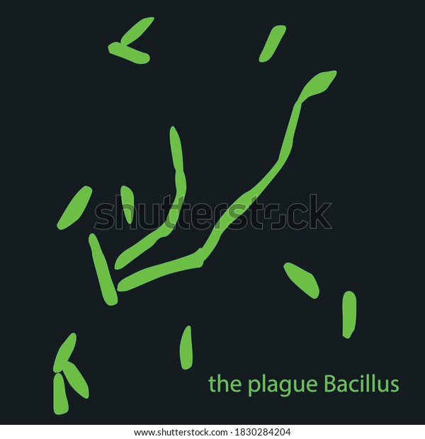Plague Bacillus Under Microscope Plague Viruses Stock Vector (Royalty ...