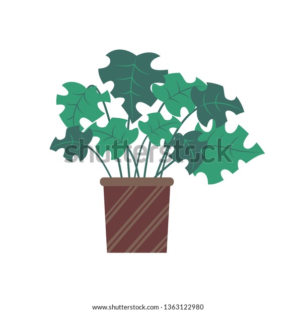 Plant Broad Leaves Vector Stylish Decor Stock Vector (Royalty Free ...