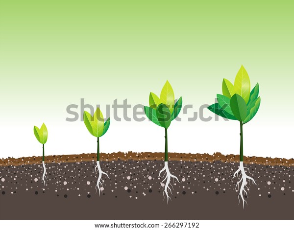 Plant Grow Moment Vector Stock Vector (Royalty Free) 266297192