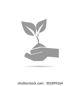 Plant Hand Icon Stock Vector (Royalty Free) 301899164 | Shutterstock