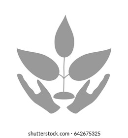 Plant Hand Icon Stock Vector (Royalty Free) 642675325 | Shutterstock