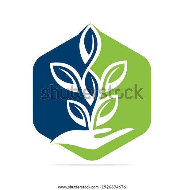 Plant Hand Vector Logo Design Natural Stock Vector (Royalty Free ...
