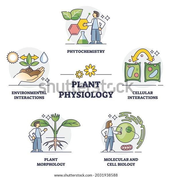 541 Phytochemistry Images, Stock Photos & Vectors | Shutterstock