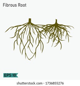 Plant Roots Plant Root Silhouette Flat Stock Vector (Royalty Free ...