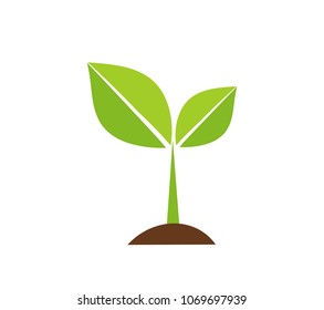 「Plant Seedling Growing Icon Spring Vector」のベクター画像素材（ロイヤリティフリー ...