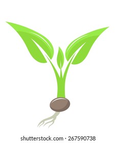 Plant Seedling Vector Illustration Stock Vector (Royalty Free ...