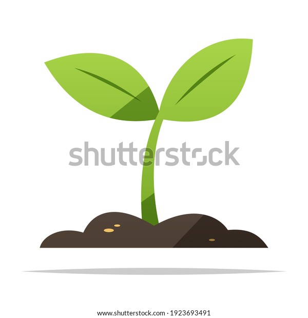 Plant Sprout Growing Vector Isolated Illustration Stock Vector (Royalty ...