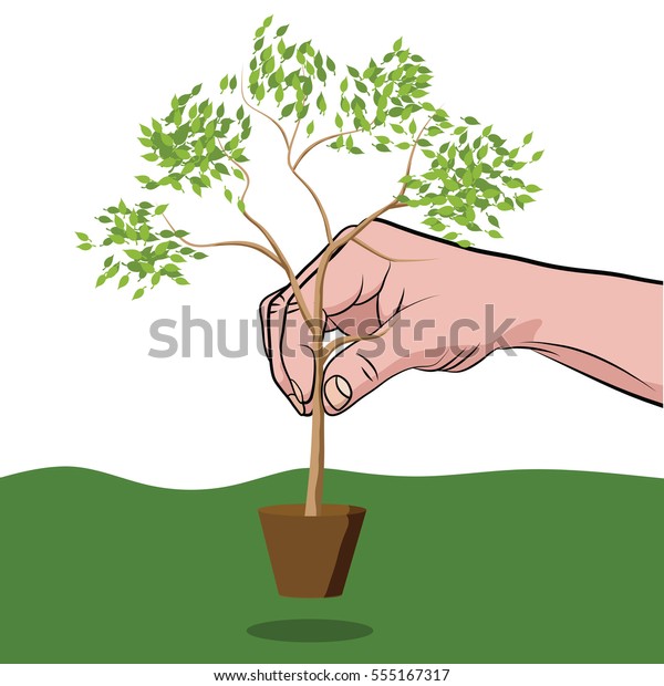 Planting Sapling Icon Mans Hand Planting Stock Vector (Royalty Free ...