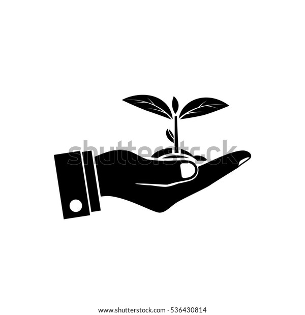 Planting Sapling Isolated Icon On White Stock Vector (Royalty Free ...