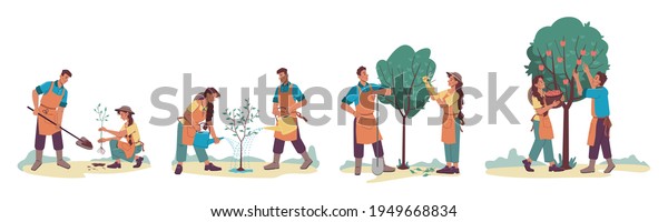 Planting Tree Isolated Growth Process Set Stock Vector (Royalty Free ...