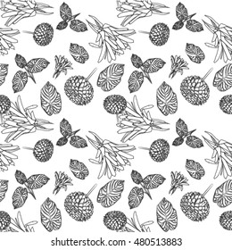 Plants Drawing Pattern Stock Vector (Royalty Free) 480513883 | Shutterstock