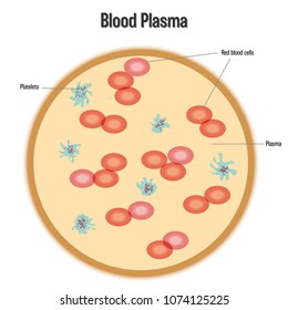 How Does Insulin Work Illustrated Vector Stock Vector (Royalty Free ...