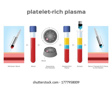 281 Prp Icon Stock Vectors, Images & Vector Art | Shutterstock