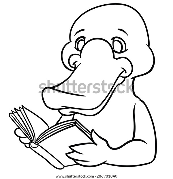 Platypus Duckbill Line Drawing Vector Australian Stock Vector (Royalty ...