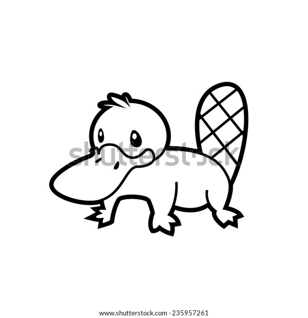 Platypus Line Drawing Vector Australian Aborigine: เวกเตอร์สต็อก (ปลอด ...
