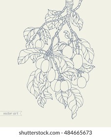 Plum Tree Branch Vector Artwork Stock Vector (Royalty Free) 484665673 ...
