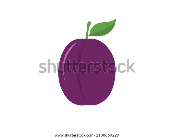 Plum Vector Illustration Isolated On White Stock Vector (Royalty Free ...