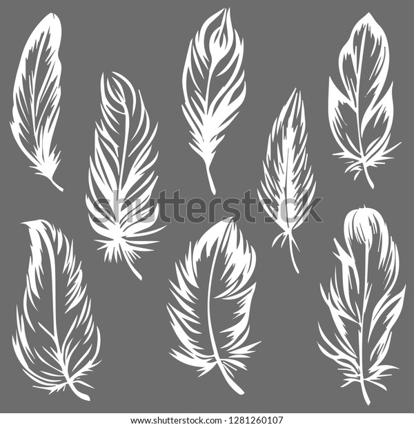 Plumage Set Vector Isolated Plume On Stock Vector (Royalty Free ...