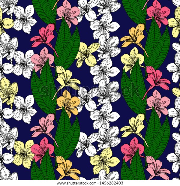 Plumeria Flowers Seamless Pattern Vertical Creepers Stock Vector ...